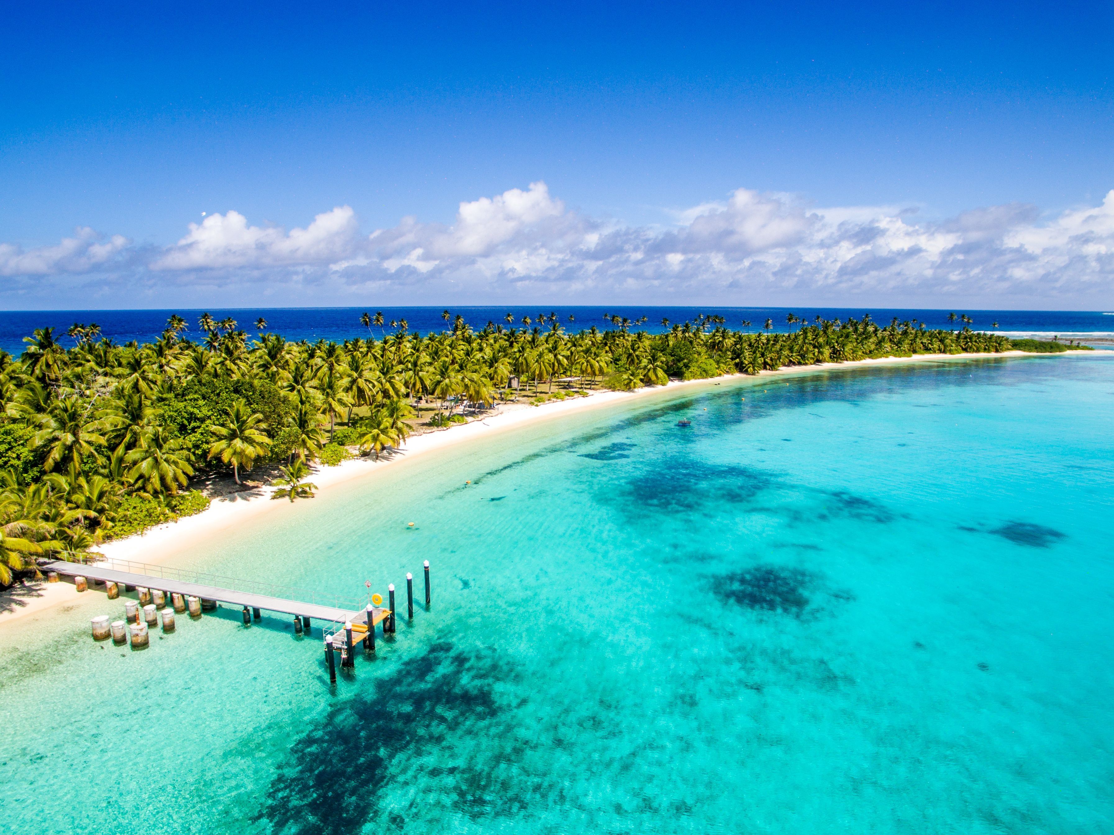 Christmas & Cocos Islands - Nature & Wildlife Journey