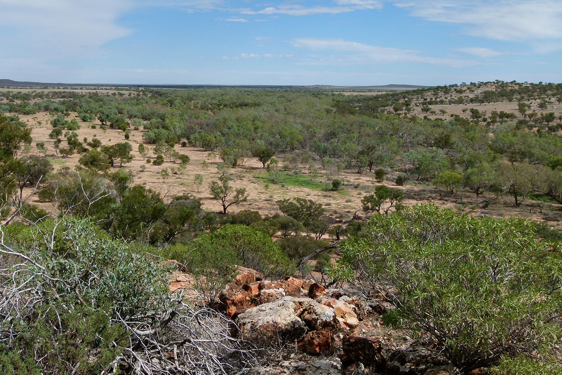 Gluepot Reserve & Bowra Sanctuary Birding Safari